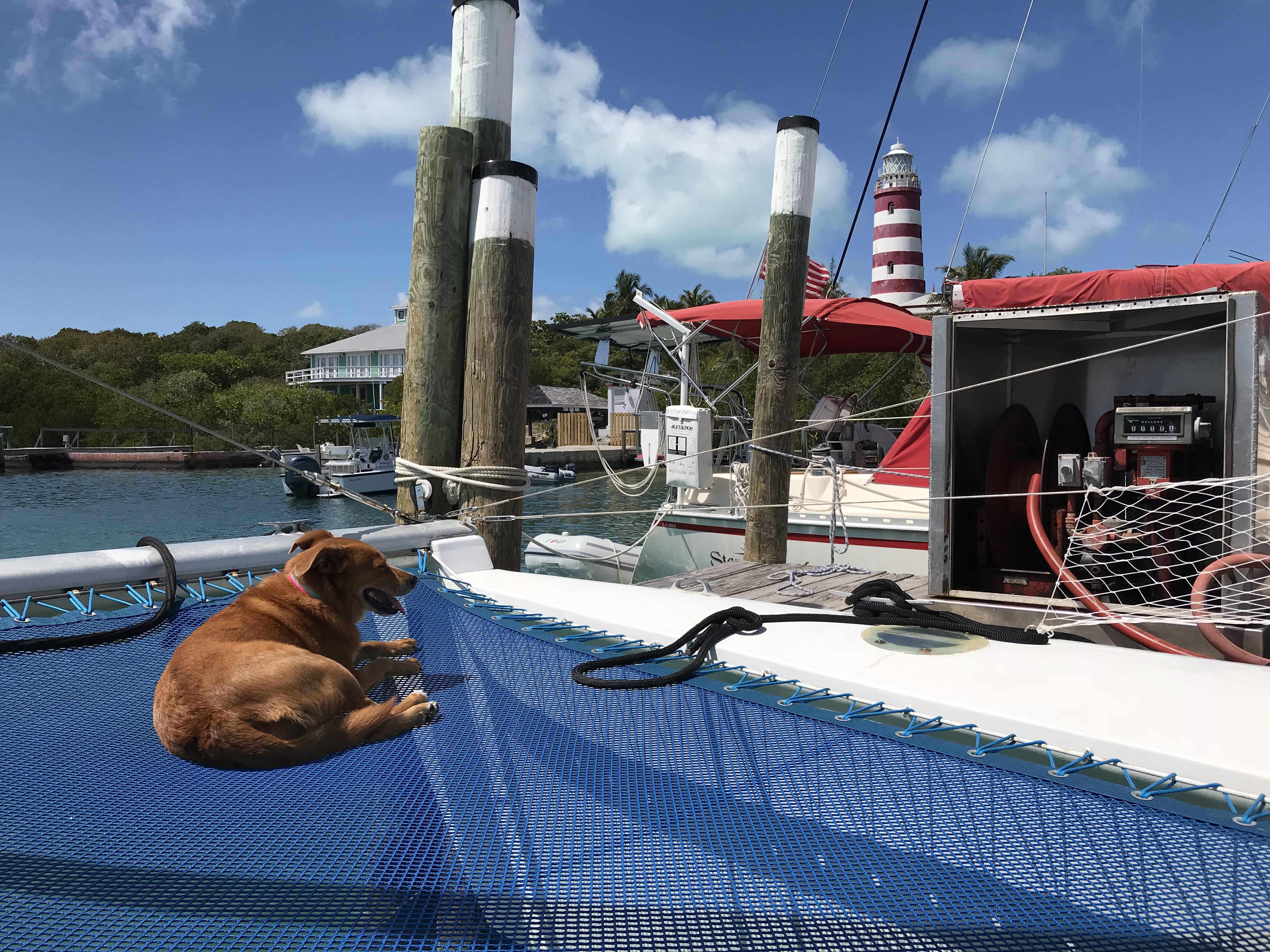 How Much Does It Cost To Live On A Sailboat Tula s Endless Summer